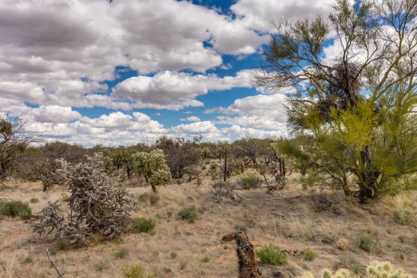 Diamond Bell Ranch 1.22 Acres Lot/Land With Water Well Rights - real ...