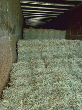 1ST CUT, ALL GRASS MIX SMALL SQUARE HAY BALES, 21 BALE BUNDLES - farm ...