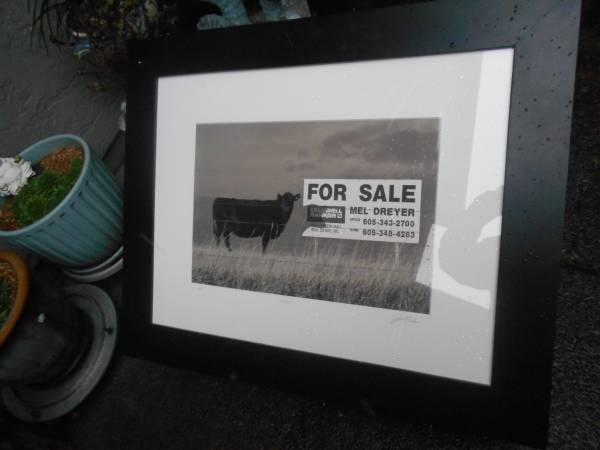 Josh Rhine Photography Titled " Who Me? # 11 of 50 signed work ...