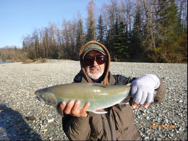 Fish Alaska - LAST CALL! 2SPOTS LEFT ! - sporting goods - by owner ...