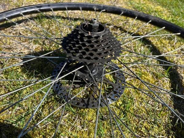 26" Back Rear Wheel 7 Speed Disc Brakes Compatible Quick Disconnect ...