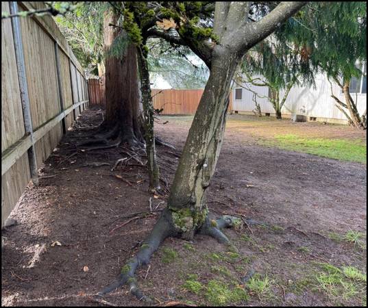 Landscape Service/Tree Removal/ Leaf Clean-Ups 🍁🍁 - farm & garden ...