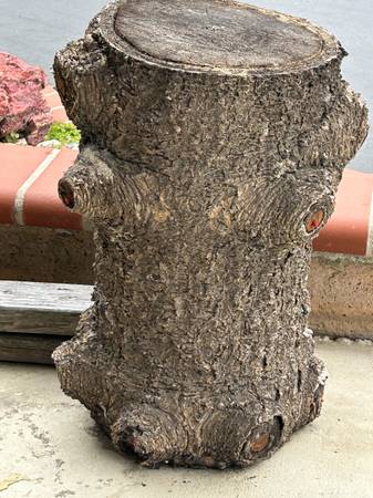 Outdoor REAL Wood 20"H Tree-Trunk Log Stool~Garden decor~Your project ...
