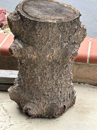 Outdoor REAL Wood 20"H Tree-Trunk Log Stool~Garden decor~Your project ...