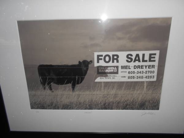 Josh Rhine Photography Titled " Who Me? # 11 of 50 signed work ...