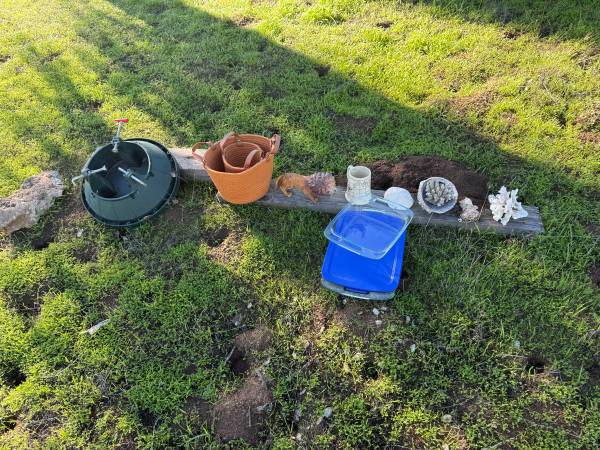 CURB ALERT: Misc items - free stuff - craigslist