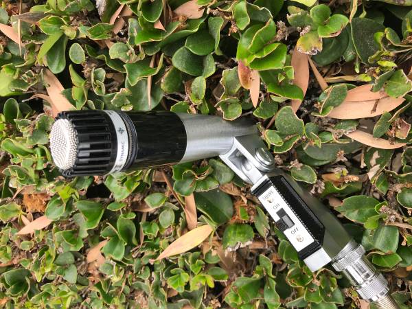 Shure 545S Series 2 Unidyne III Unidirectional Dynamic Microphone ...