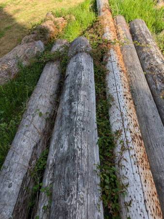 7x 40 Foot Telephone Utility Poles - farm & garden - by owner - sale ...