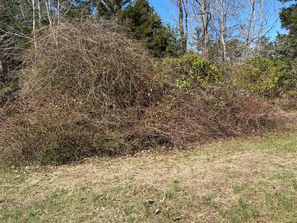 🌿 SPRING CLEANUP SPECIAL – GET YOUR YARD READY FOR THE SEASON! 🌿 - farm ...