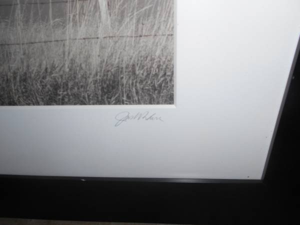 Josh Rhine Photography Titled " Who Me? # 11 of 50 signed work ...