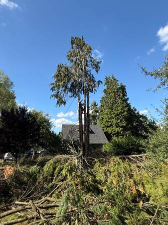 R&A LANDSCAPE & TREE SERVICE, LLC. - farm & garden services - craigslist