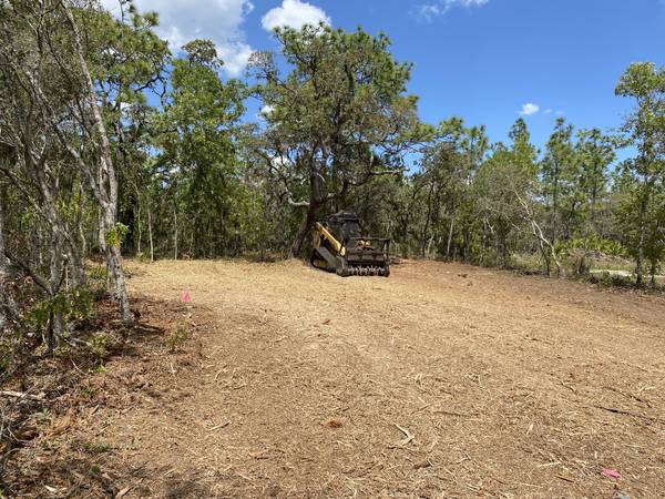 🚜 LAND CLEARING & FORESTRY MULCHING, UNDERBRUSH REMOVAL 🚜 - farm ...